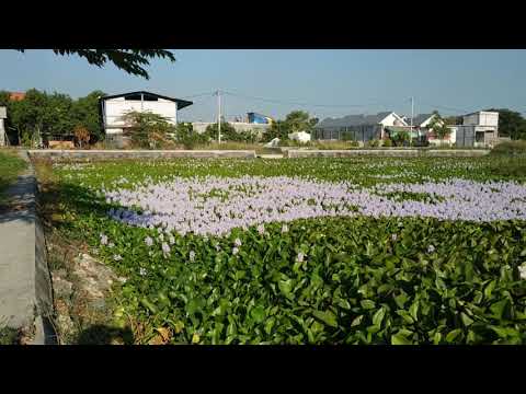 PRANK lucu basah basahan