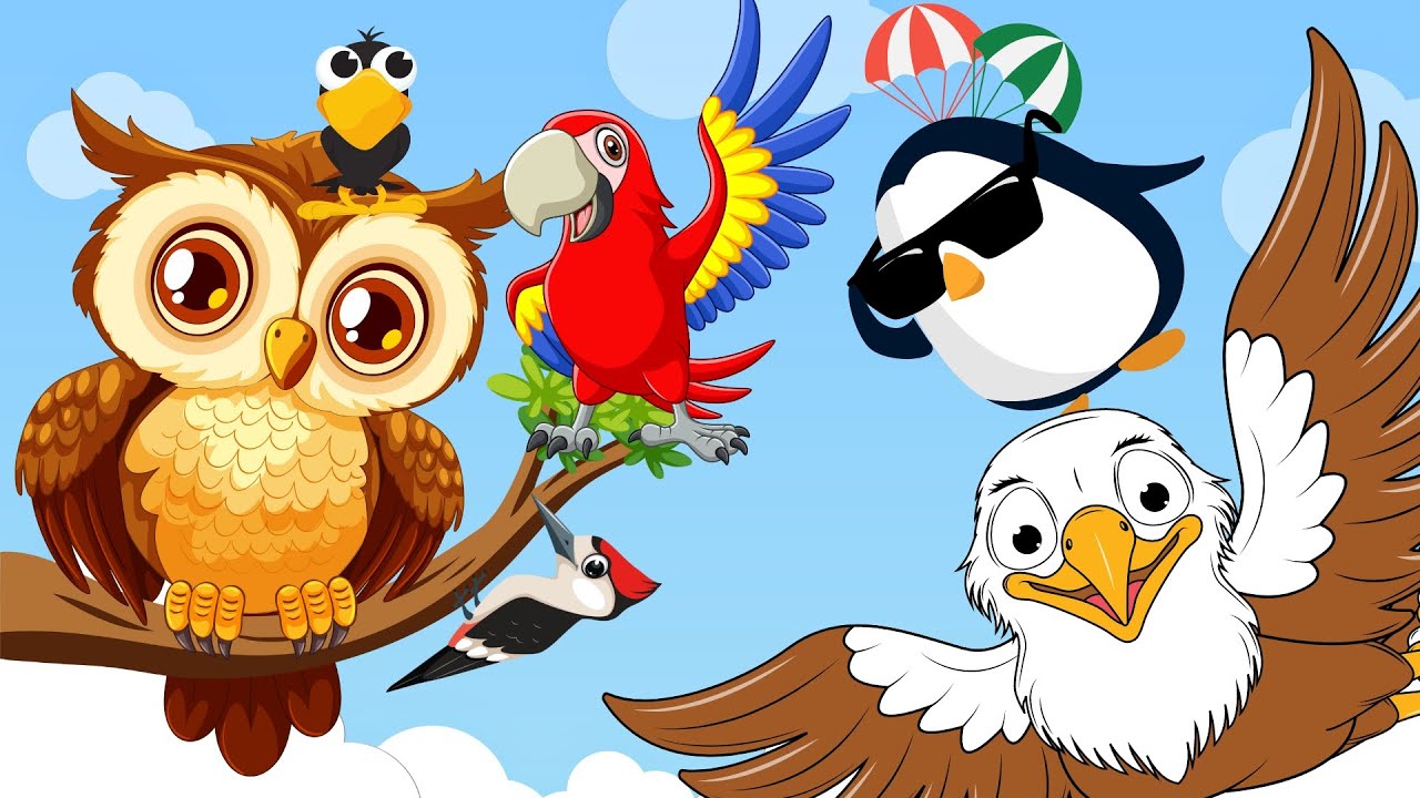 Beautiful Birds: Fun Songs & Stunning Visuals for Kids - YouTube