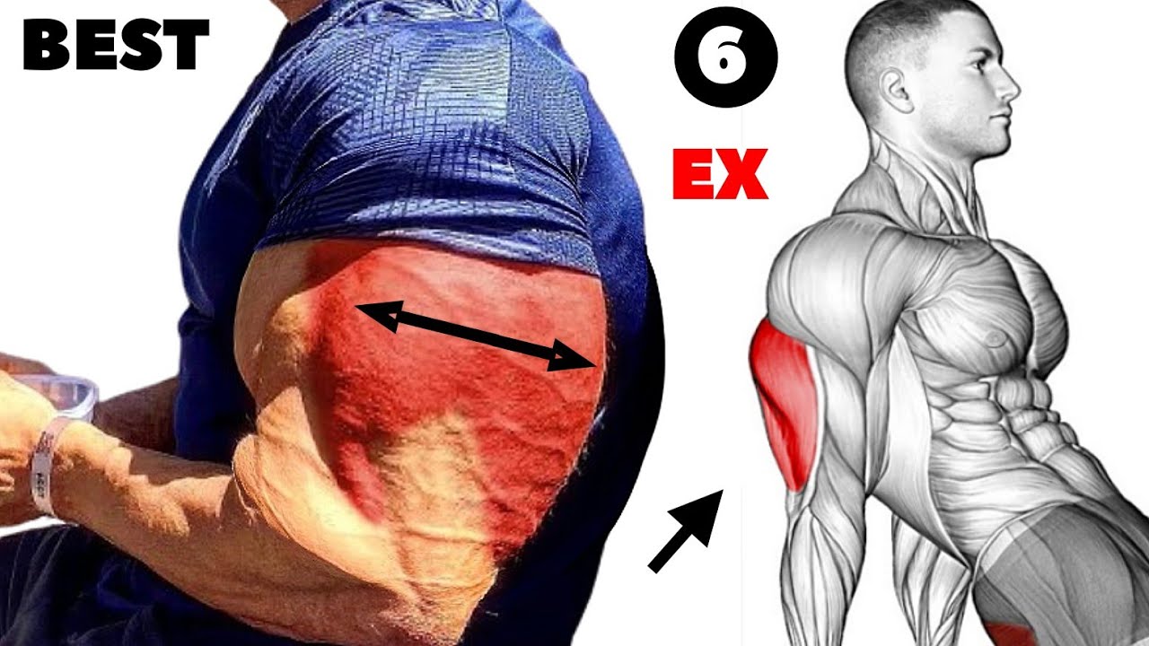 Bigger Triceps Transformation Workout to Grow - YouTube