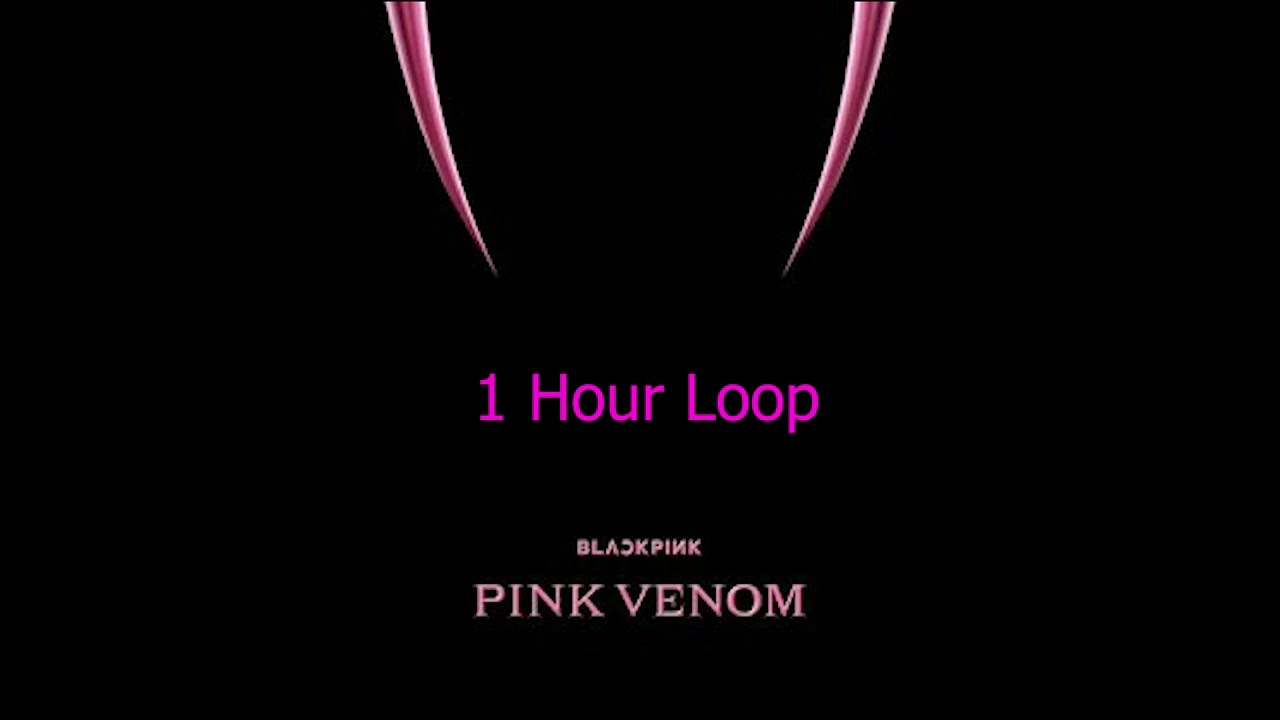 BLACKPINK - Pink Venom (1 Hour Loop) - YouTube