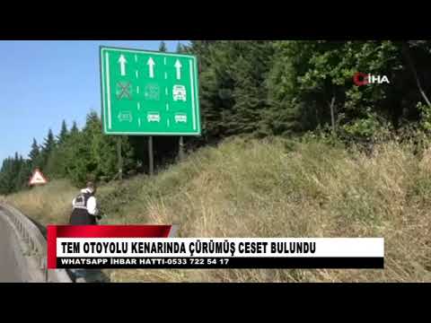 TEM OTOYOLU'NDA ÇÜRÜMÜŞ CESET BULUNDU