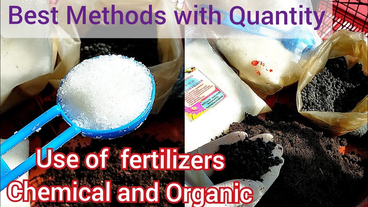 Types of Fertilizers and their Uses | How to Use Fertilizers For Plants ...