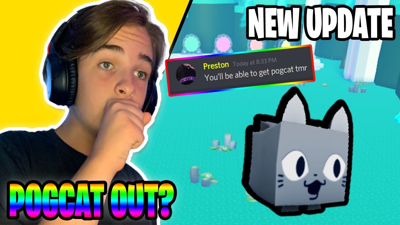 I GOT THE NEW 🙀 *POG CAT* AND ITS OP! | PET SIMULATOR X - YouTube