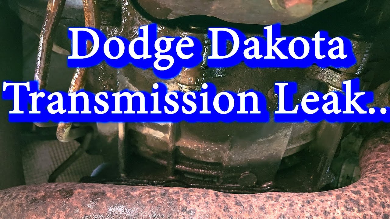 Dodge Dakota Transmission Line Leak COMMON issue #transmission - YouTube
