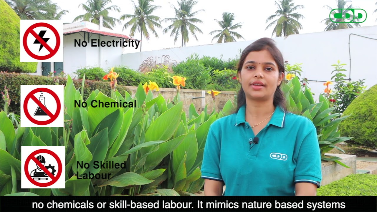 CDD Society India final - YouTube