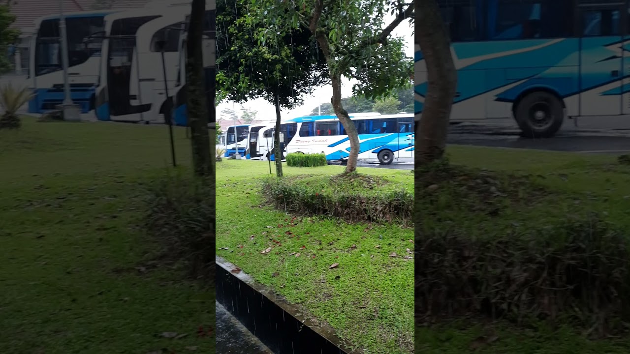 terminal mendolo wonosobo - YouTube