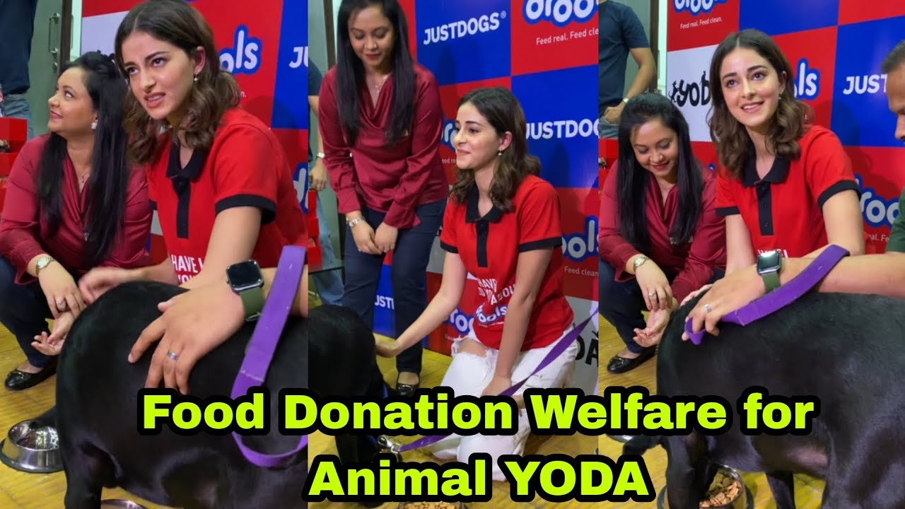 Sweet Gesture of Cute Ananya Pandey With Animal at Food Donation Drive ...
