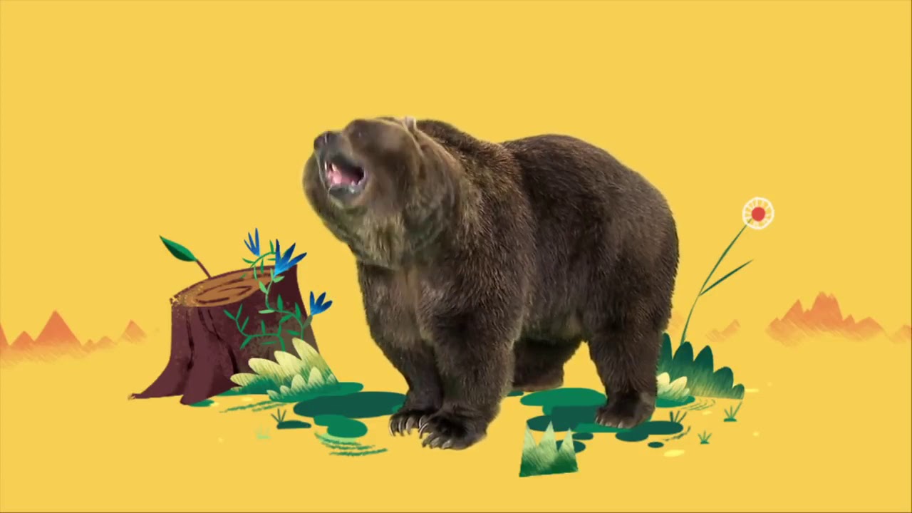 Big Brown Boogieing Bear - YouTube