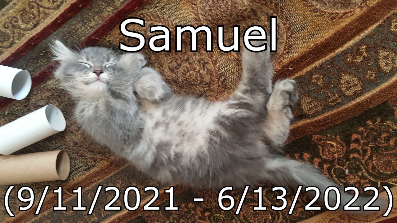 Rest In Peace, Samuel - YouTube