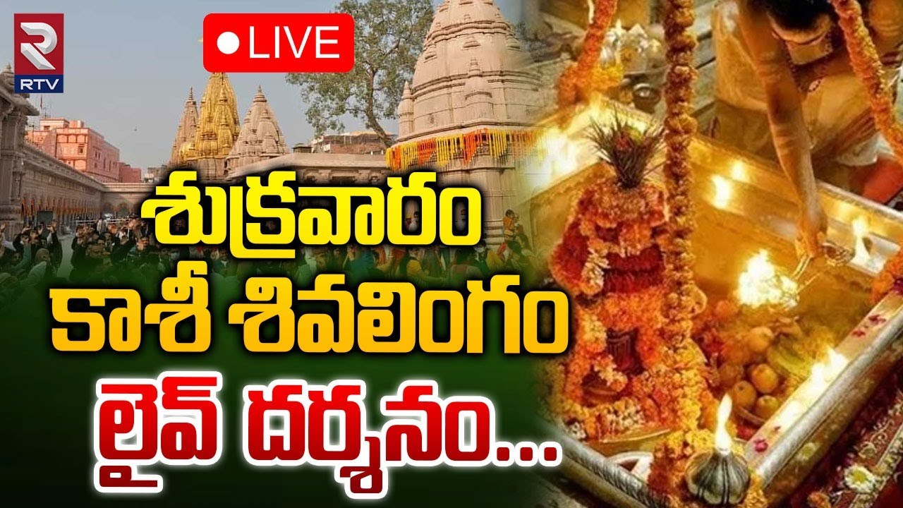 🔴Live Darshan From Kashi | Lord Shiva Darshan From Shri Kashi ...