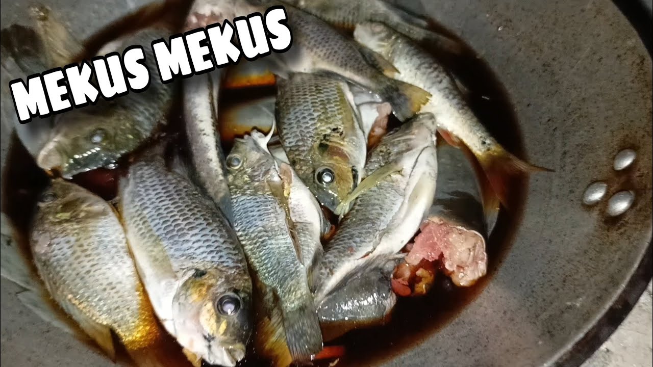 EP326.2 NAPASABAK SA MALAMIG NA ILOG | NATIVE NA HITO - YouTube