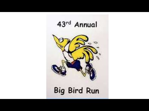 202143rd Annual Big Bird Run in Roseville - The Mile Run - Michigan ...