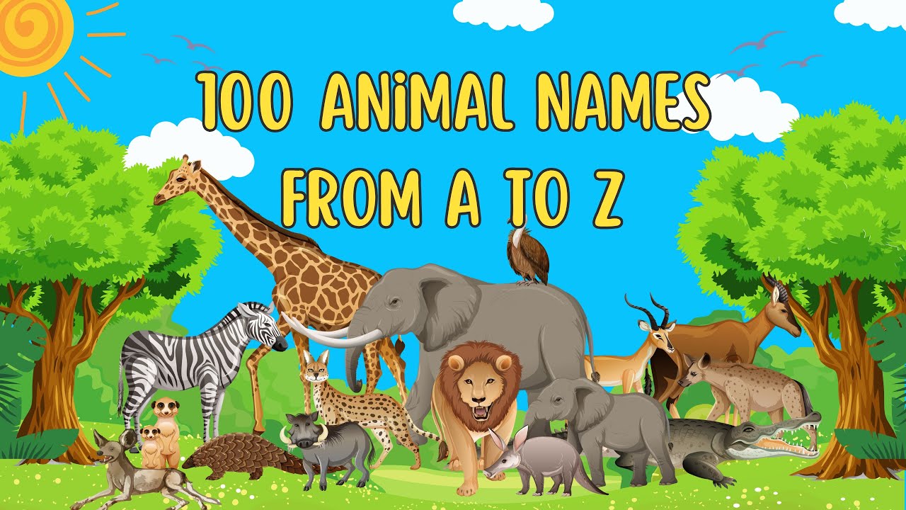 Animal Names from A to Z | Learn Alphabet & Animals | English - YouTube