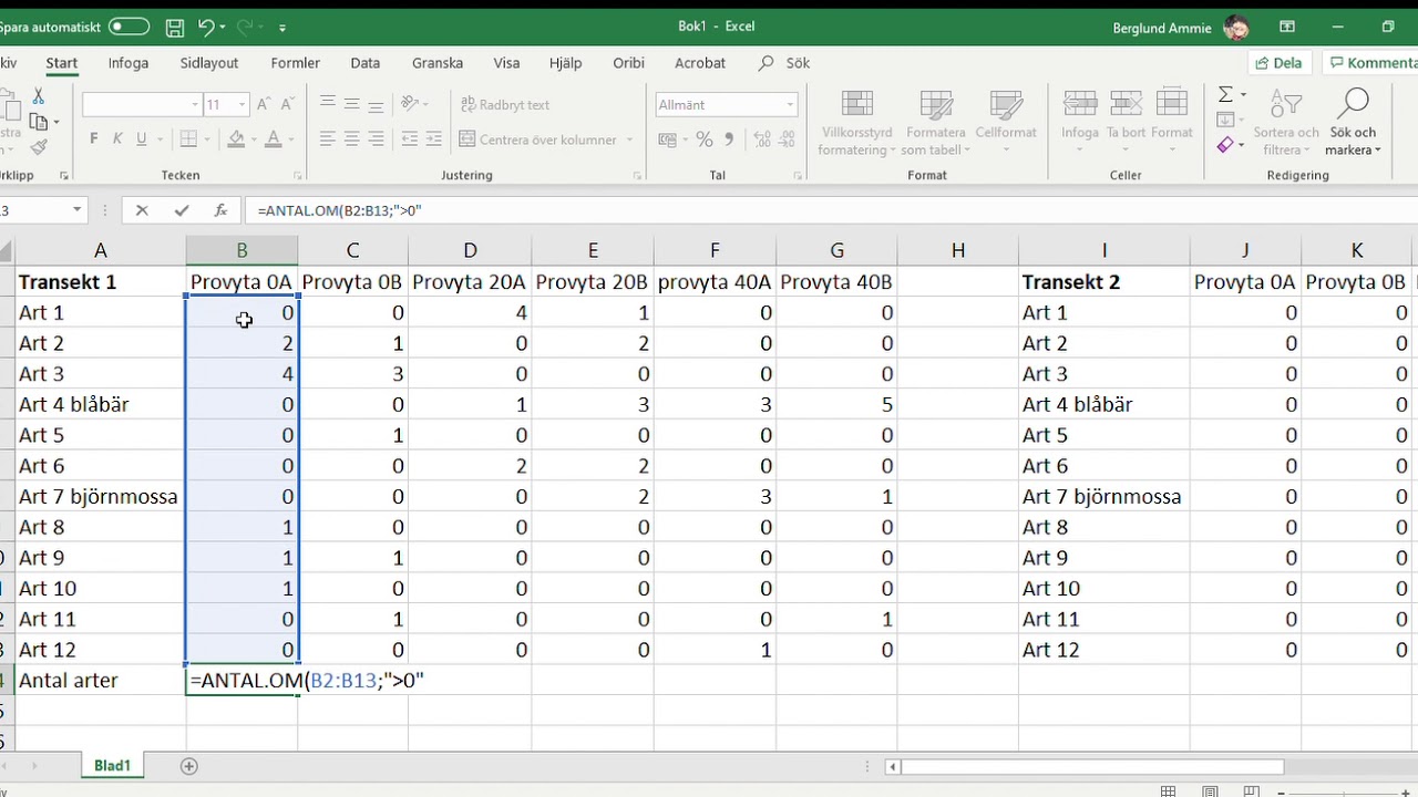Tips på hur man kan organisera kalkylblad i excel efter inventering av ...