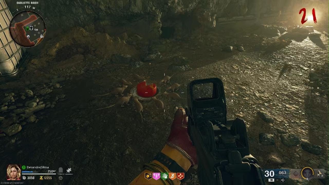 Citadelle Des Morts Rat Easter Egg - YouTube