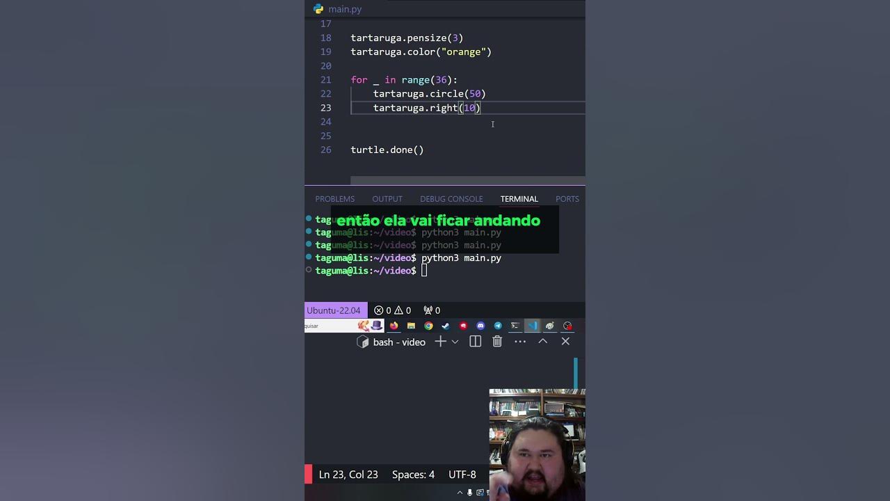 Programando Uma Flor Com Python Módulo Turtle Python Programaçãopython Aprenderpython Youtube