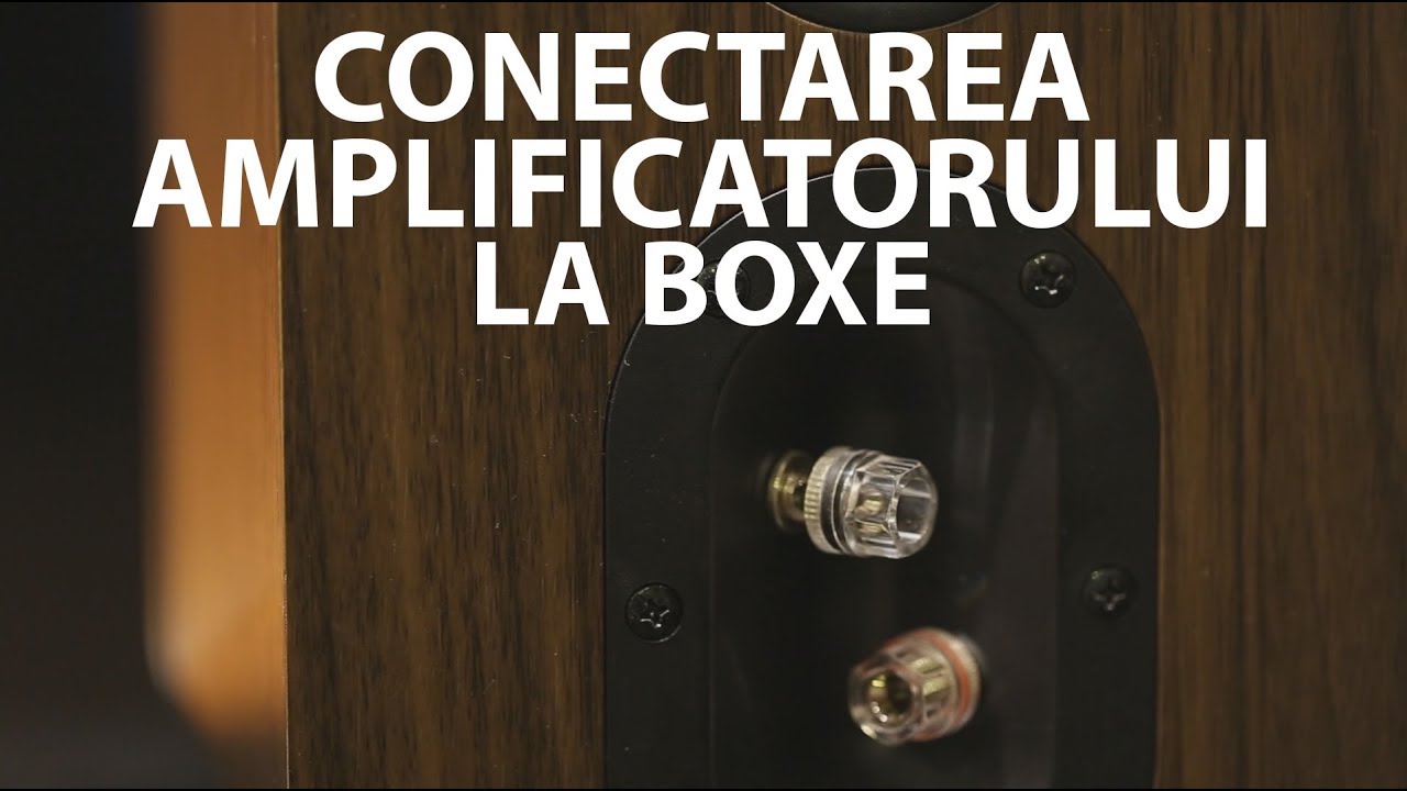 Tutorial: cum conectezi amplificatorul la boxe - YouTube