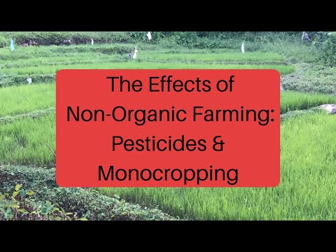 The Effects of Monocropping, Pesticides, and Farming - YouTube