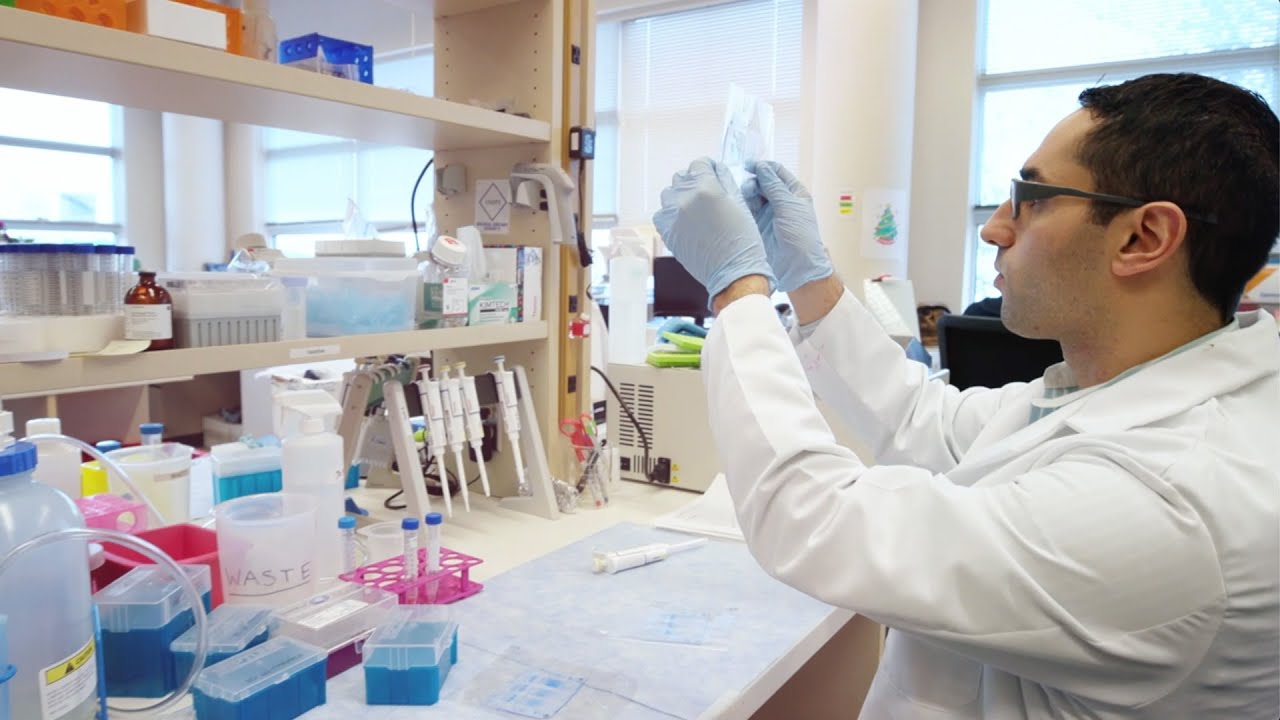 Versiti | About the Blood Research Institute - YouTube