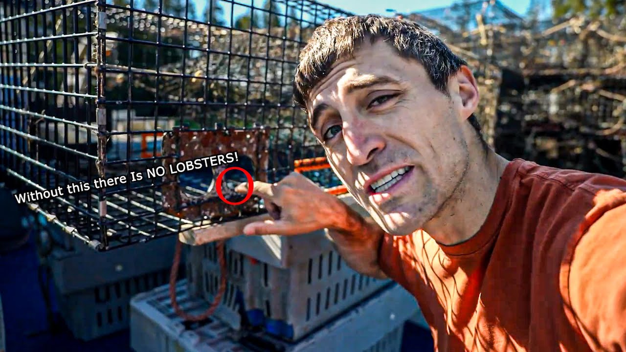 Not so Fun Part of Lobster Fishing - YouTube