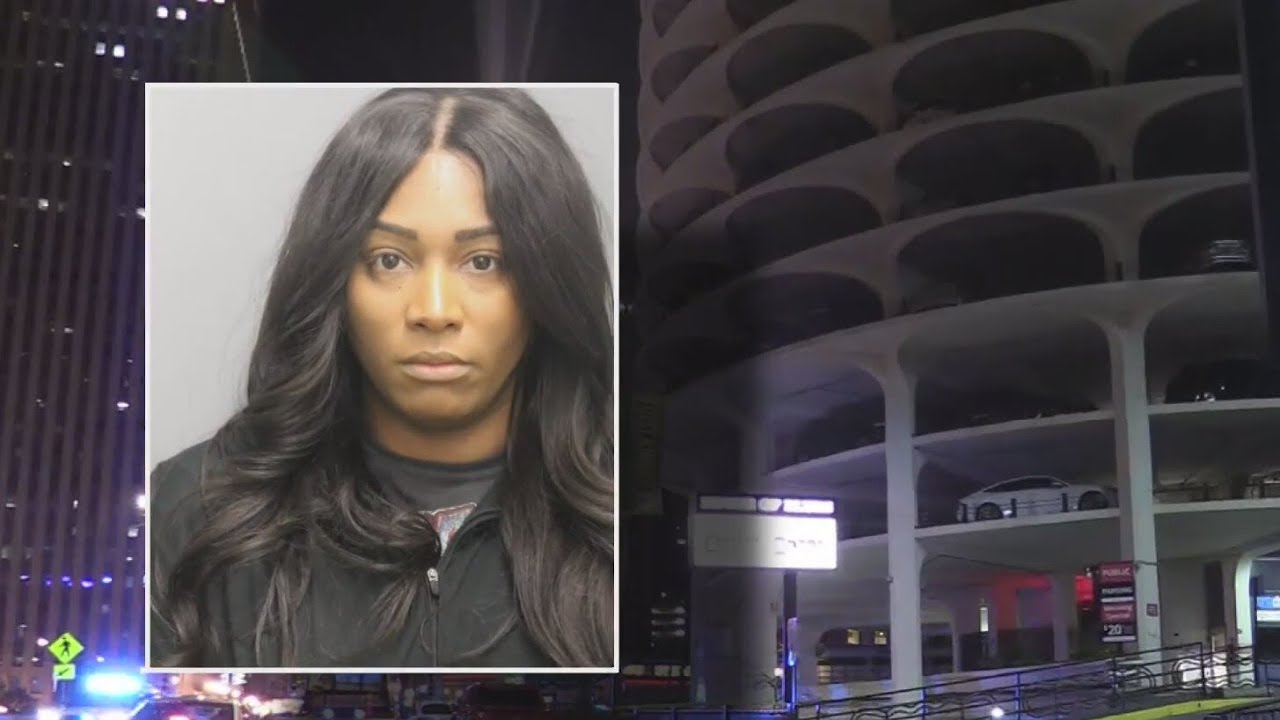 Family of woman hit, killed plans to sue CPD officer charged with DUI ...