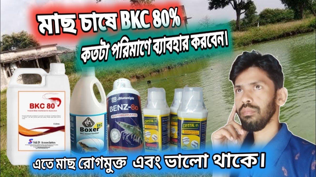 BKC use for Aquaculture। মাছ চাষে BKC ব্যাবহার কি ভাবে করবেন। @MraFarming - YouTube