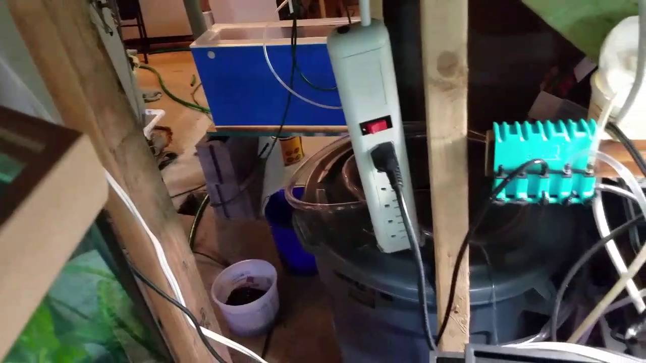 How I'm insulating my basment fish room for the winter and heating all ...