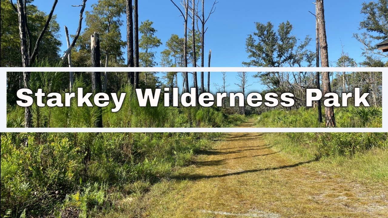 Hike at Jay B. Starkey Wilderness Park in Pasco County, FL - YouTube