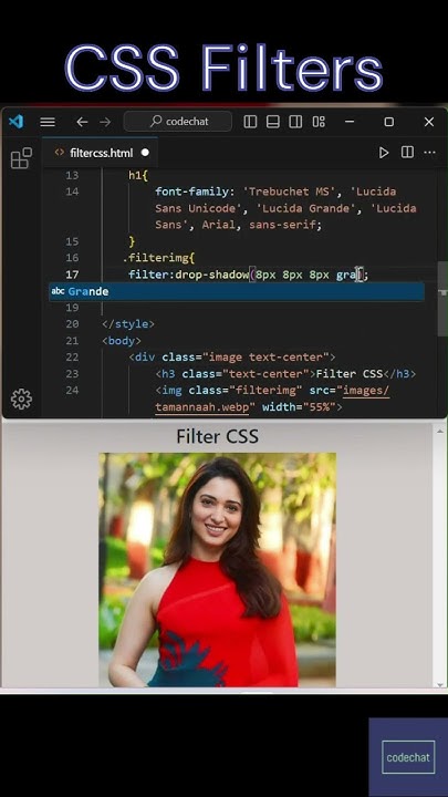 Filter in CSS | All CSS Filters #coding #css #programming #tamannaah #tamannaahbhatia - YouTube