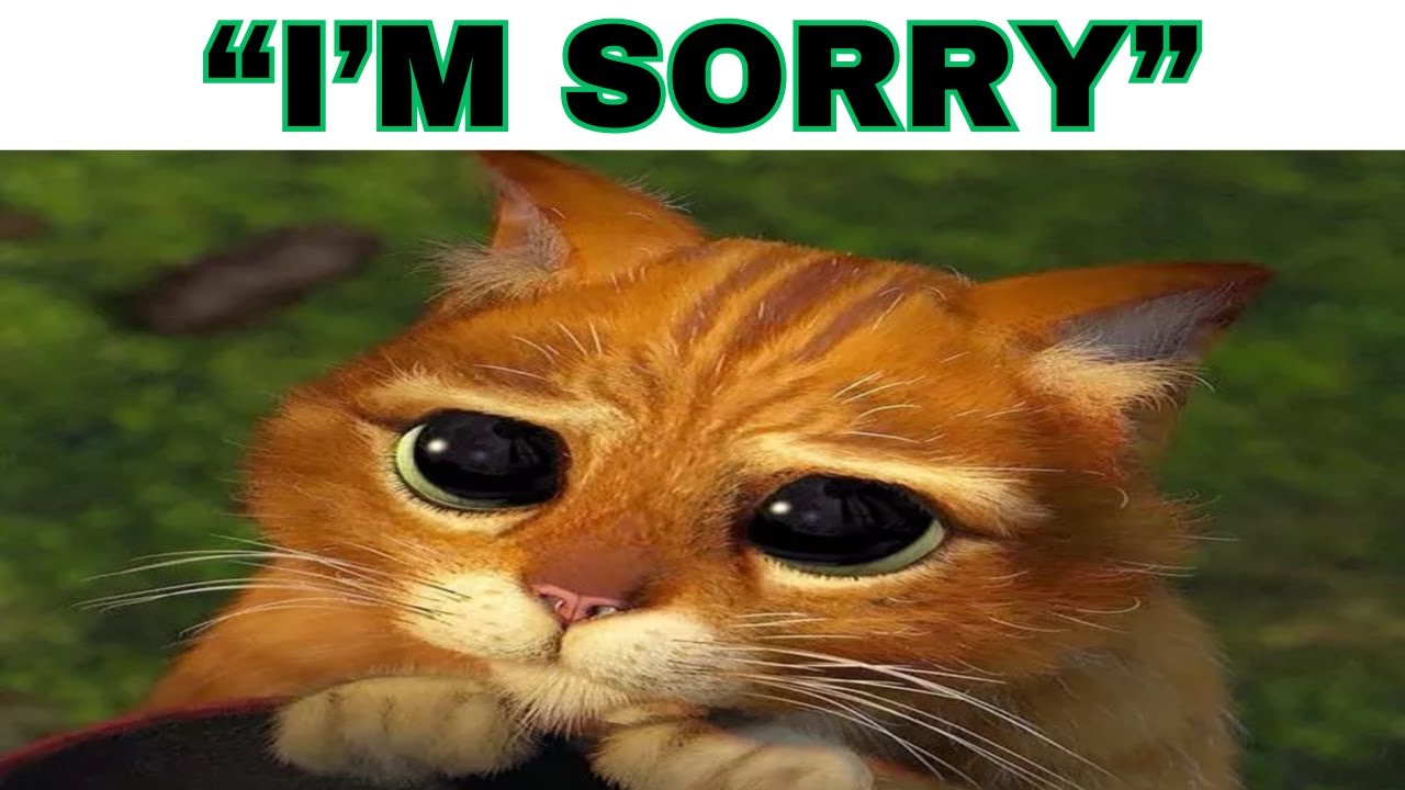 People Who Say Sorry Too Much! - YouTube People Who Say Sorry Too Much! - YouTube
