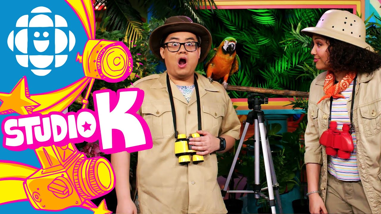 Studio K Safari: Macaw | CBC Kids - YouTube