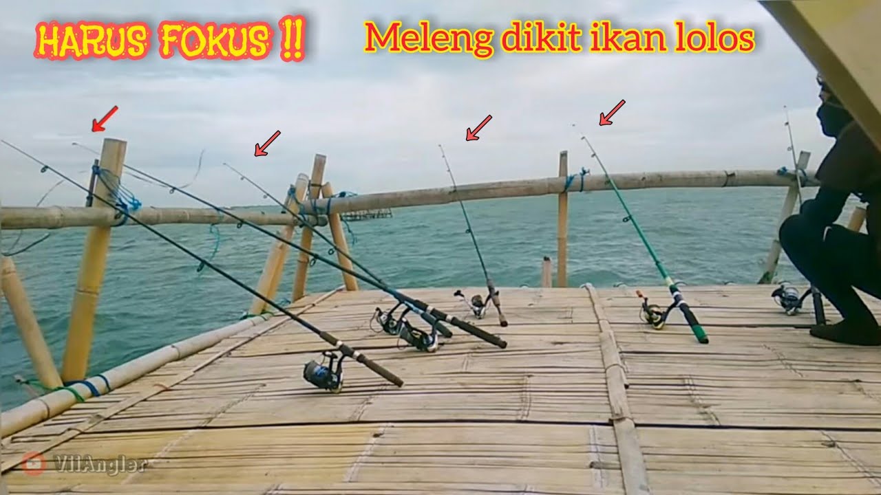 FOKUS !! MANCING IKAN INI MAKIN GANAS PADA SAAT ANGIN BARATAN || Bagan ...