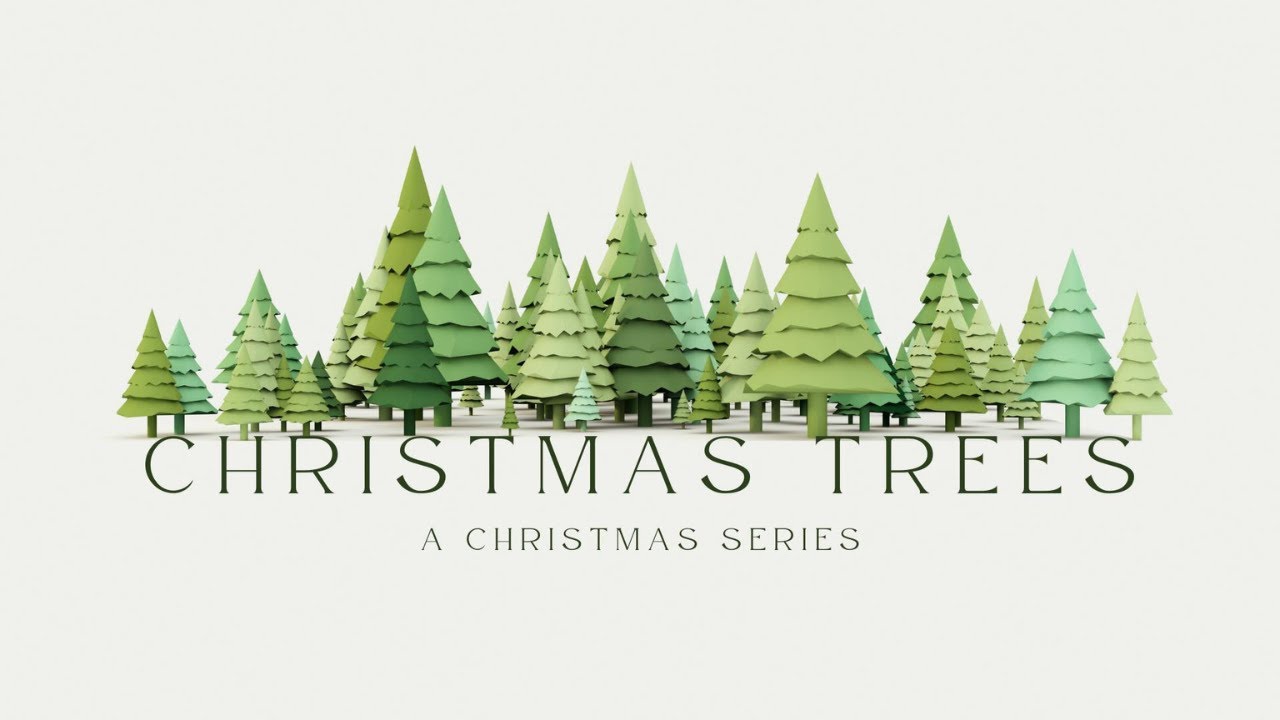 Christmas Trees Week 3 - The Tree that Cleanses - YouTube