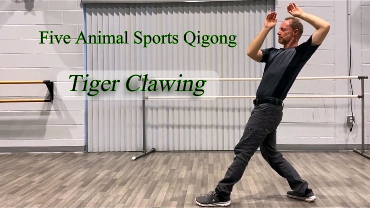 Five Animal Sports Qigong - Tiger Clawing - YouTube