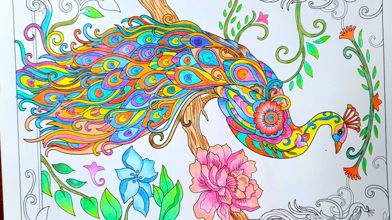 Mindfulness and relaxation techniques | beautiful colours in bird ...