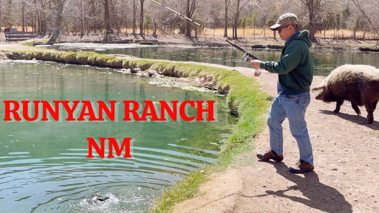 Day trip fishing at Runyan Ranch, Mayhill, New Mexico. - YouTube