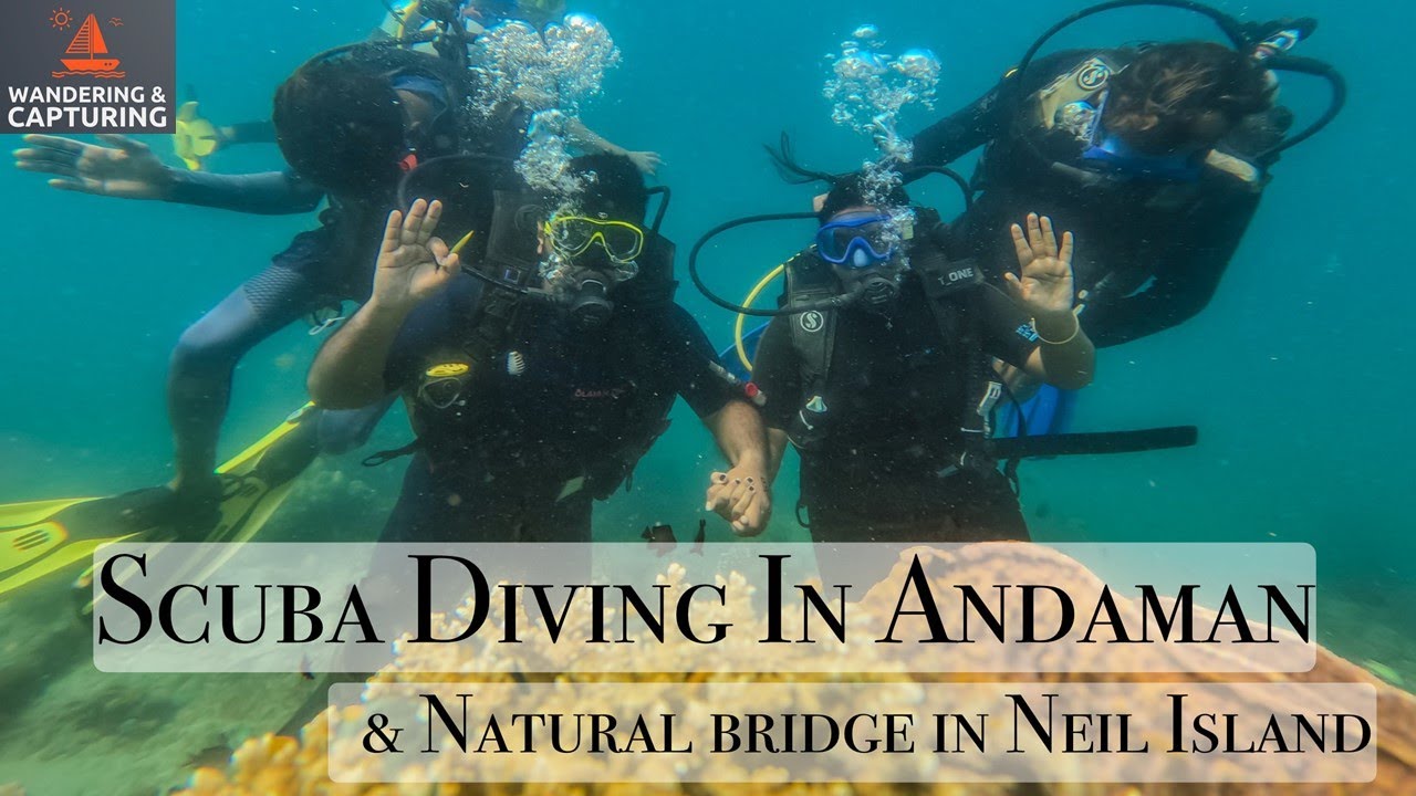 Scuba Diving in Andaman | Havelock to Neil by Cruise | Natural Bridge ...