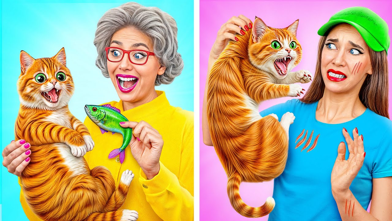 I Am Cat | Funny Situations by Multi DO Smile - YouTube Music