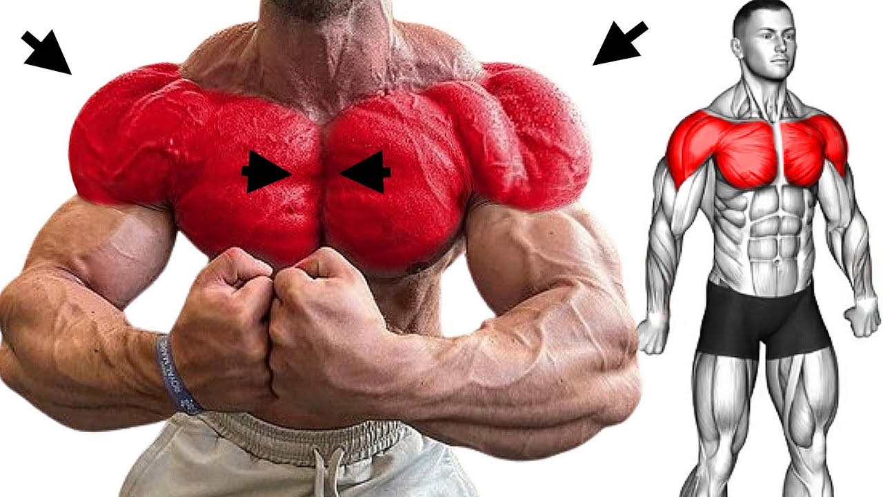 Chest and Shoulder Top Workout for Muscles Hypertrophy - YouTube