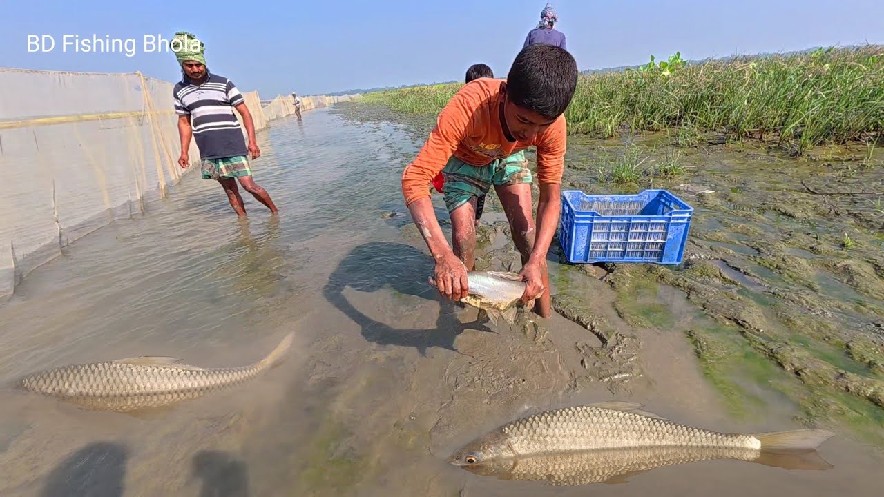 Can You Believe This Fish Catching||Amazing River Fishing||Unbelievable ...
