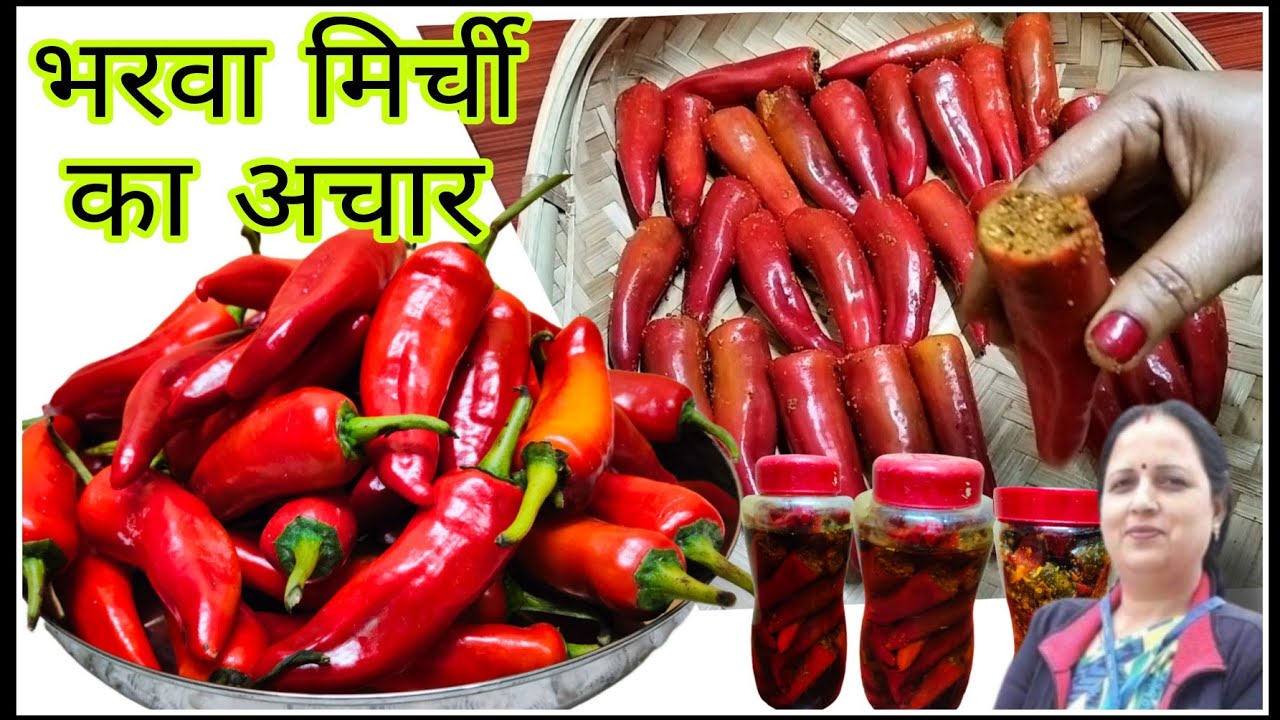 2 तरह के भरवा मिर्च का अचार| Mirchi Ka Achar| Bhrua Achar Ki Recipe ...