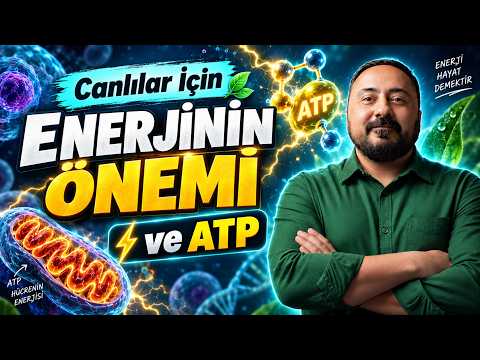 Canlılar İçin Enerjinin Önemi ve ATP | 10. Sınıf Biyoloji 2026-2027