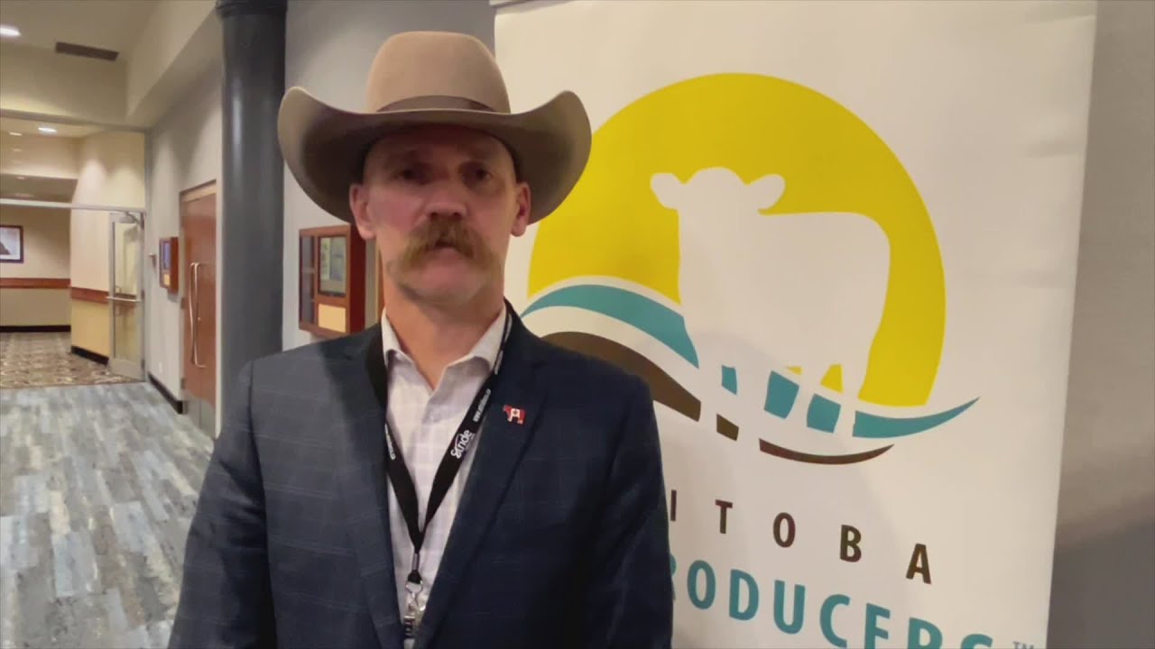 Producers support mandatory livestock inspection in Manitoba - YouTube