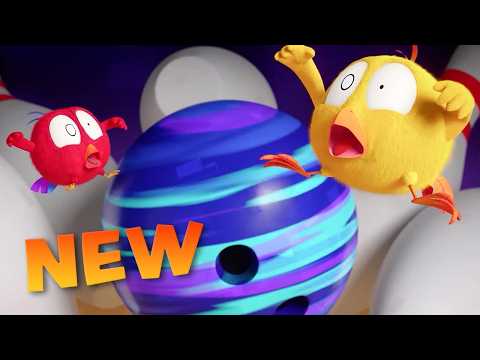 Chicky Goes Bowling! | Where's Chicky? | Cartoon Collection in English for Kids | New episodes