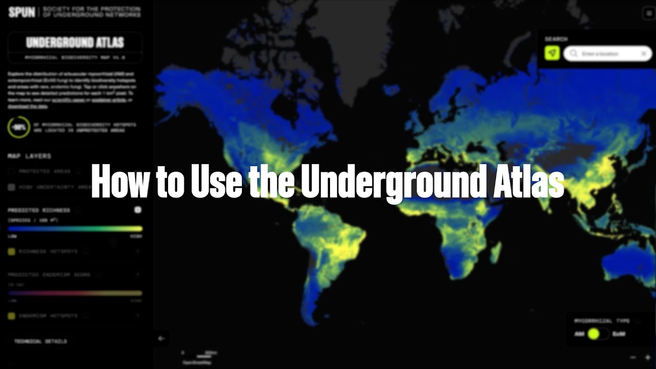 How to Use SPUN’s Underground Atlas - YouTube