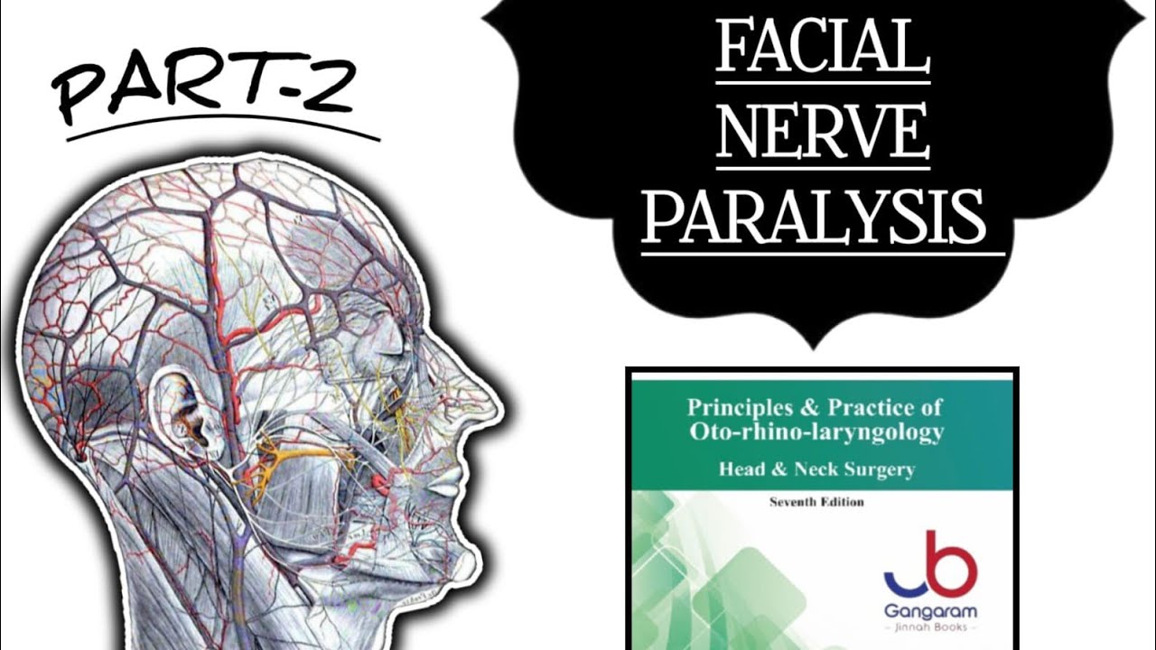 Mastering Facial Nerve Anatomy: Understanding Paralysis and Pathology ...