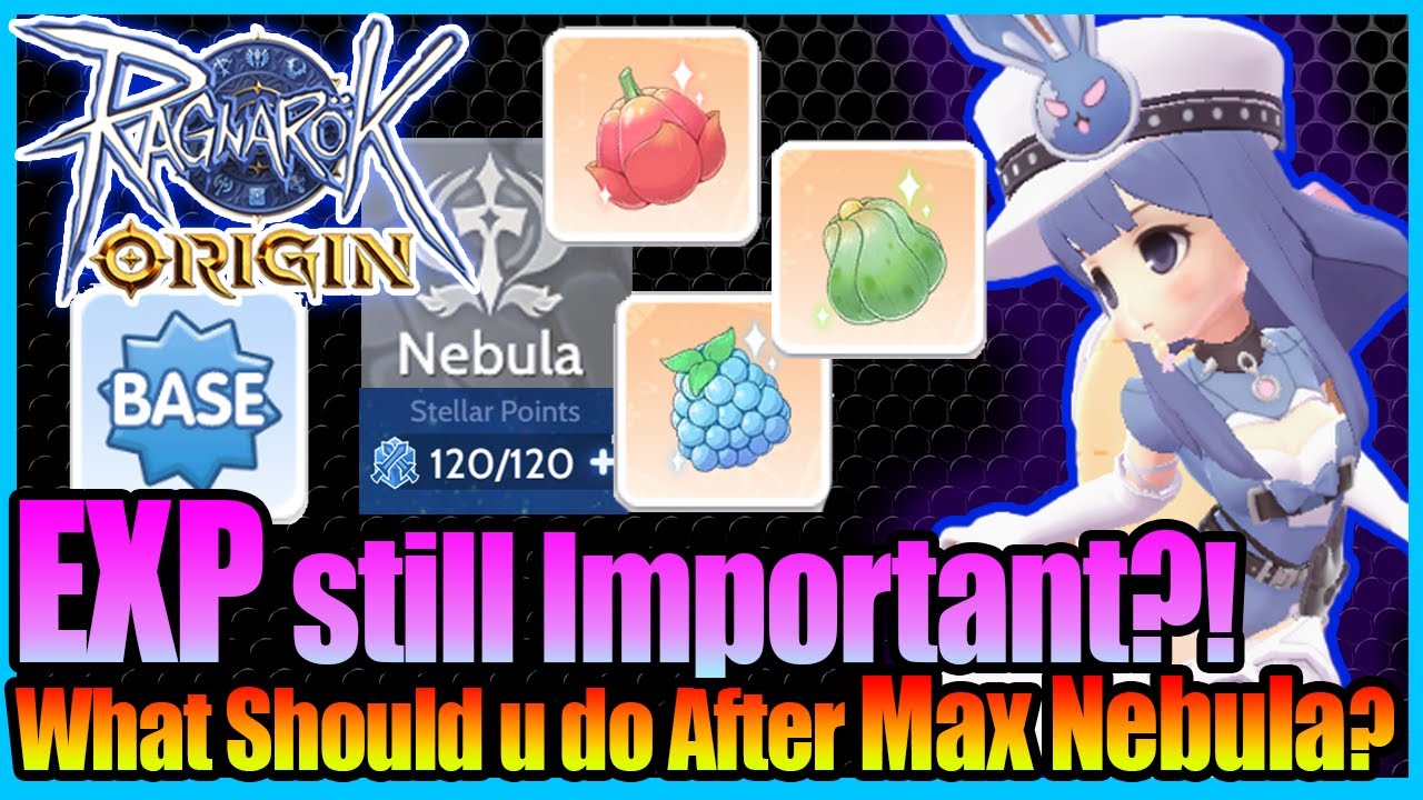 What Should You Do with Extra EXP ?! Prepare this Now!! [Ragnarok ...