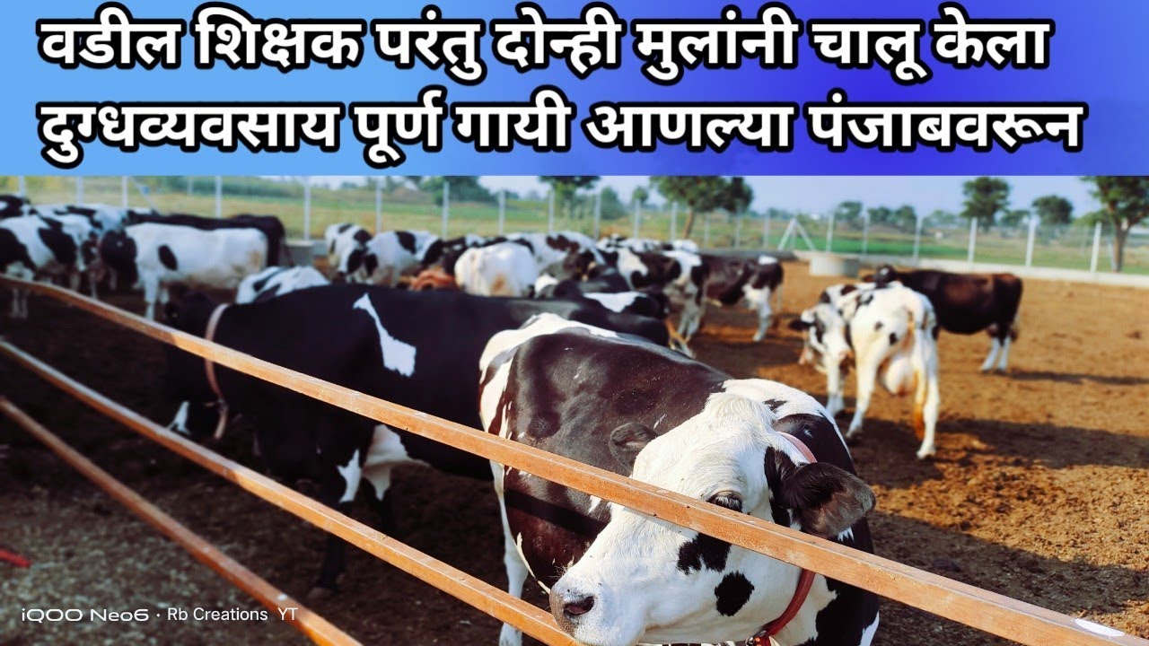 छोट्याश्या गावात उभारला पंजाबच्या गायीचा गोठा | Punjab Hf Cow Dairy ...