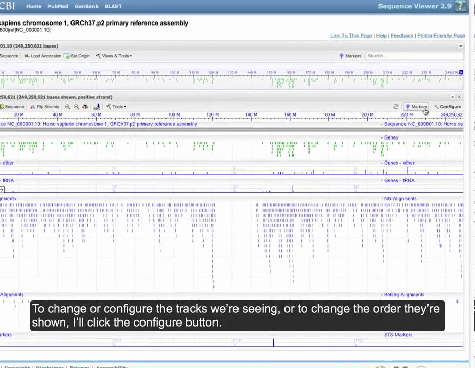 Bitesizebio clc sequence viewer - productionslader