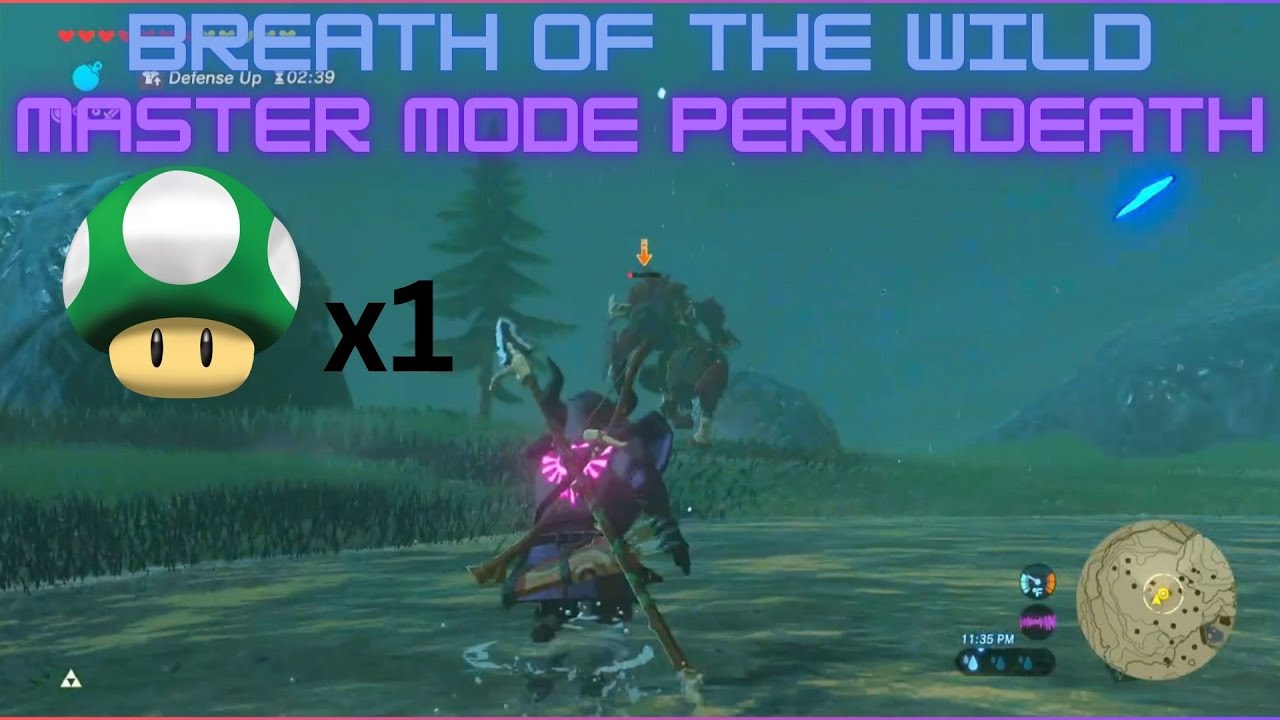 Breath of the Wild MASTER MODE Permadeath - YouTube